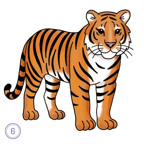 How To Draw A Tiger A Step By Step Guide From Mimi Panda How To Mimi Panda