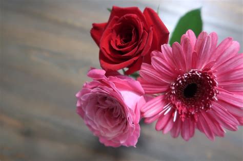 ただ生きてるだけで美しい♡ かる生き × B L O G