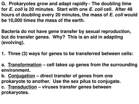 Prokaryotes And The Origins Of Metabolic Diversity Ppt Download