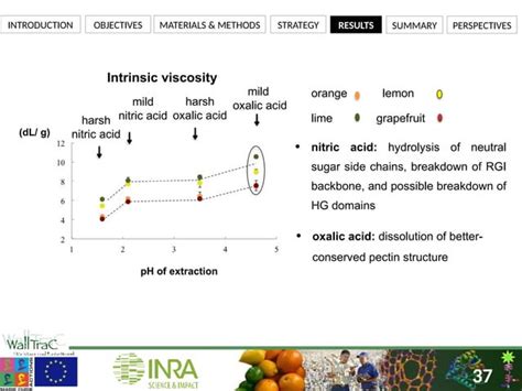 Citrus Pectin Structure Dr Merve Kaya Pptx
