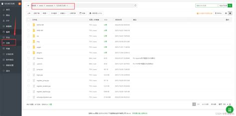 宝塔linux部署javaweb项目两种方式，图文并茂宝塔部署java Web项目完整教程 Csdn博客
