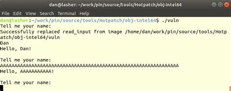 Hot Patching C C Functions With Intel Pin Coding Vision