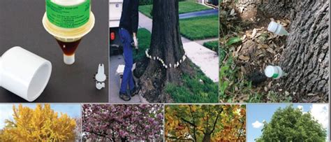 Tree Tech Microinjection Systems