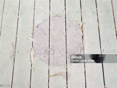 조류와 원형 모양의 변색 또는 마모 또는 풍화 목재 데크 보드 0명에 대한 스톡 사진 및 기타 이미지 0명 갈색 널판지
