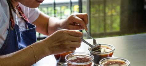 Café Pingado O Que é E Como é Feito