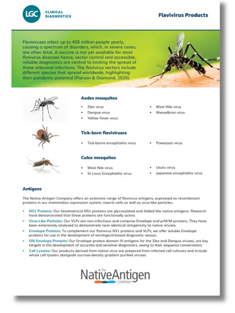 Tnac Flavivirus Fact Sheet