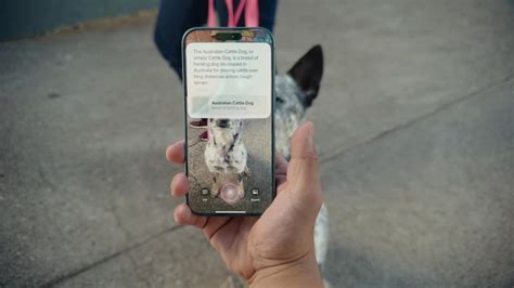 Ios 183 Key Upgrades And Bug Fixes For Visual Intelligence Apple