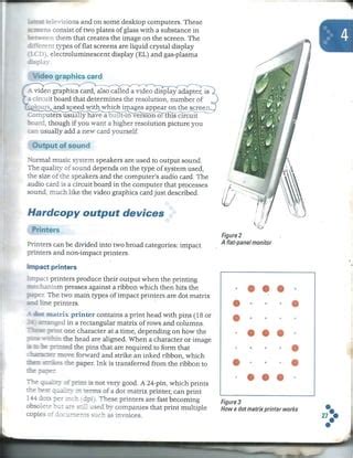 Output Devices Chapter 4 PDF