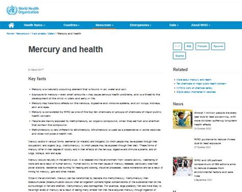 Mercury And Health Global Mercury Partnership