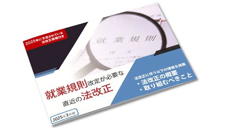 【2024年度版】高年齢者・障害者雇用状況報告書 オンライン対応の社会保険労務士事務所インサイドフィールド｜滋賀県東近江市