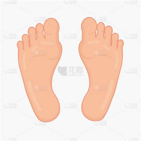 足 绘画插图 脚掌 轮廓 白色 脚印 织工波顿 健康保健 药