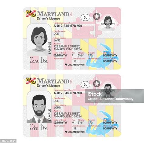 미국 메릴랜드 장난감 운전 면허 플라스틱 카드의 벡터 템플릿 운전면허증에 대한 스톡 벡터 아트 및 기타 이미지 운전면허증