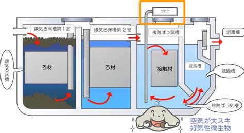 環境省浄化槽サイト 自然にやさしい浄化槽のひみつイラスト大解剖 ブロア部浄化槽のしくみを大解剖ジョーカソー博士のワンポイント解説