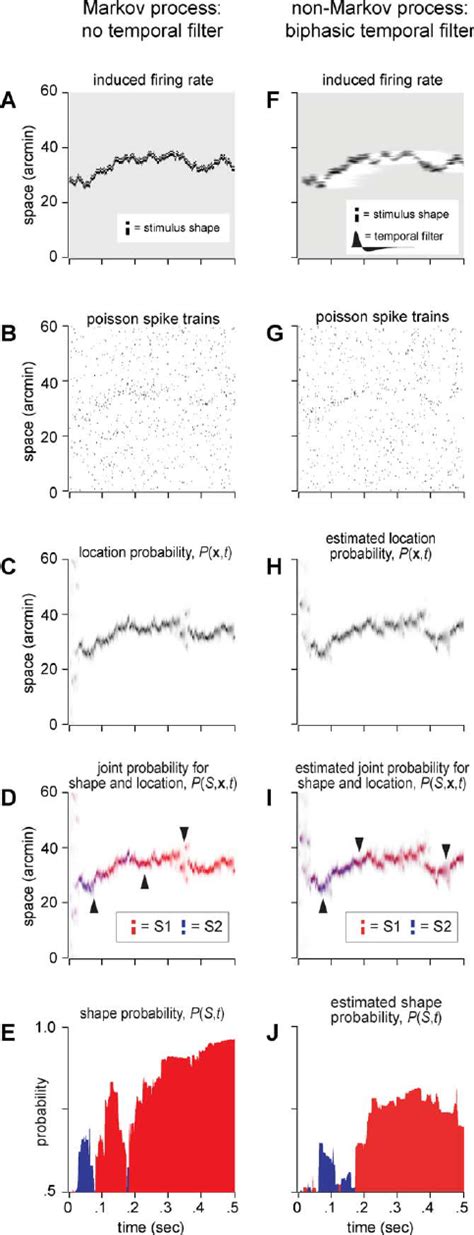 Simulations Of The Markov Decoder Equation 1 For A Small Stimulus