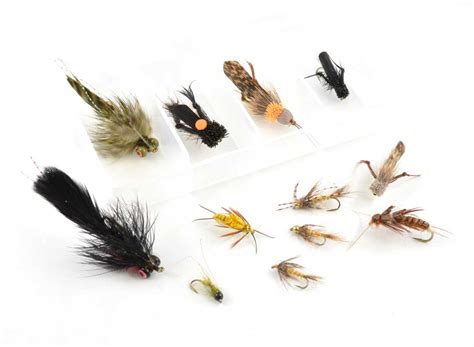 Whitlocks Signature Trout Assortment 12 Pack Rainysflies