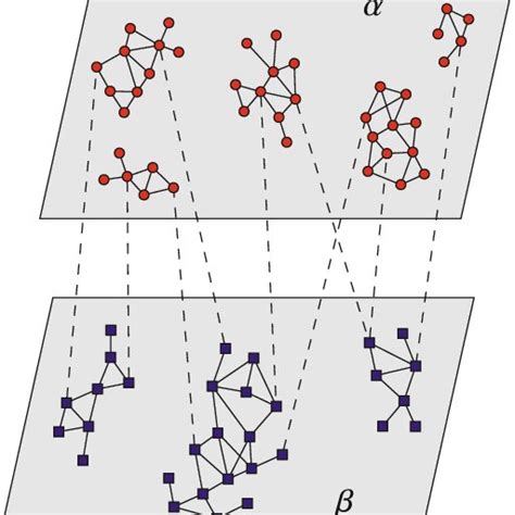 2 A Diagramatical Representation Of The Topological Constraints Placed Download Scientific