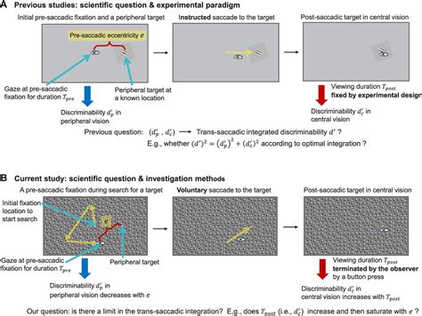 Figure 1 From Trans Saccadic Integration For Object Recognition Peters