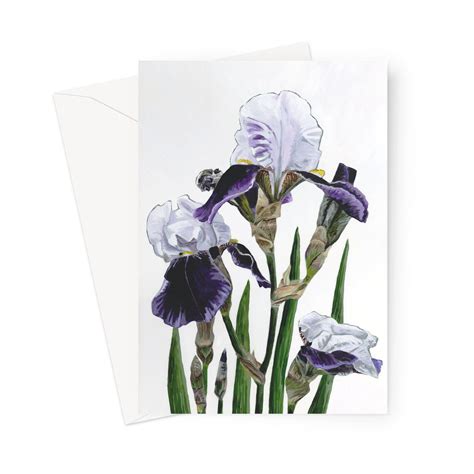 Iris Braithwaite Greeting Card Anna Mason Fine Art