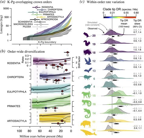 Fig S1 Diversification Rate Variation Across K Pg Overlapping