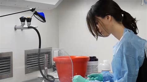 Fluorescence Microscopy Methods For Determining The Viability Of Bacteria In Association With