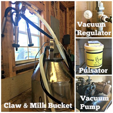 The Truth About Electric Milkers Is It Faster Better Easier Farm