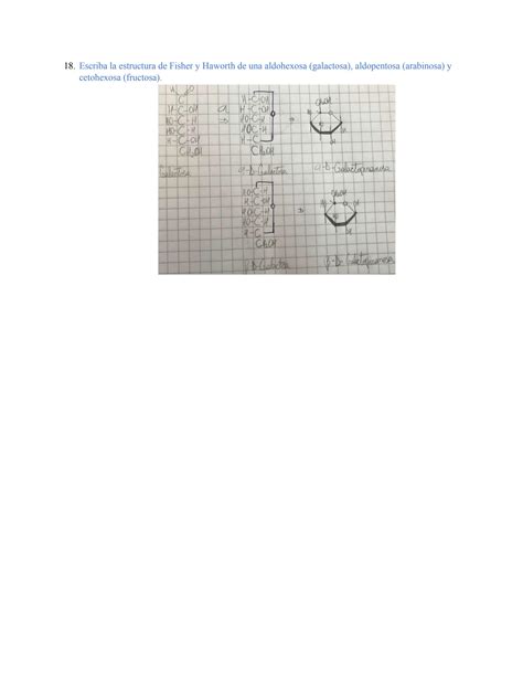 SOLUTION Cuestionario I Prueba De Bioqu Mica Docx Studypool