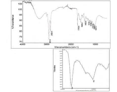 Ftir Spectrum Of Biosorbent After The Sorption Process Download Scientific Diagram