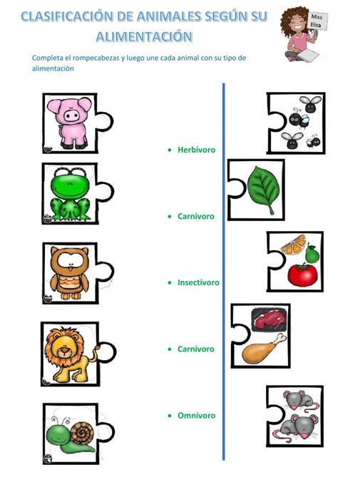 Clasificacion De Animales Preescolar