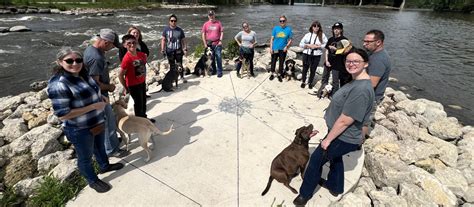 How To Properly Socialize Your Dog Training That Lasts