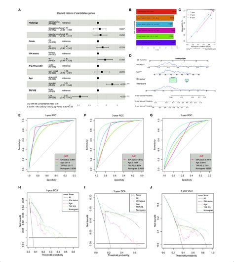 Independent Prognostic Value Of The Tumor Recurrence Factor Risk