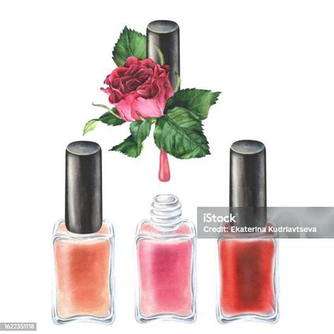수채화 그림입니다 매니큐어와 핑크 장미 병으로 구성 흰색 배경에 분리된 클립 아트를 손으로 그렸습니다 포스터 지문 스티커 명함 미용실 로고 매니큐어 화장품에 대한 스톡 벡터
