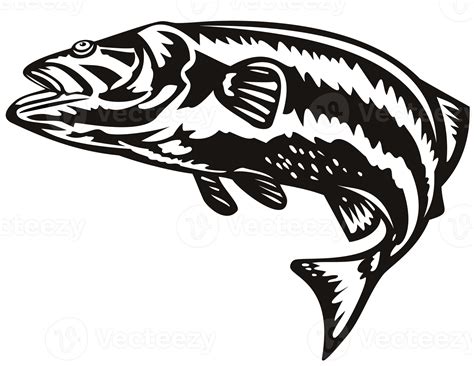 Largemouth Bass Jumping 13761373 Png
