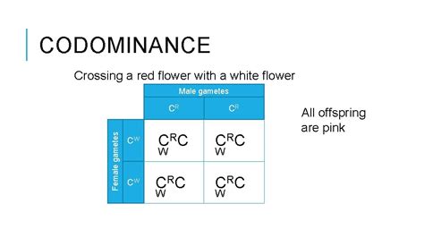 monohybrid crosses and codominance patterns of inheritance learning