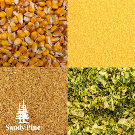 How Corn Is Processed And Used For Animal Feed Sandy Pine Posted On