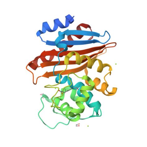 Rcsb Pdb 4ied Crystal Structure Of Fus 1 Oxa 85 A Class D Beta