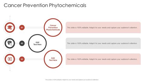 Cancer Prevention Phytochemicals Ppt Example Cpp Ppt Sample