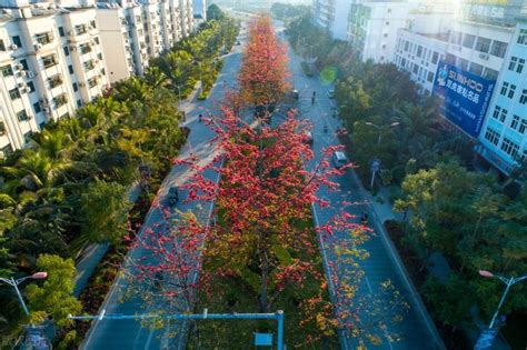 云南过冬不用去景洪这6座小城海拔低温度高适合避寒过大年 腾讯新闻