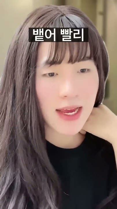 강아지와 집사의 치열한 신경전 Youtube