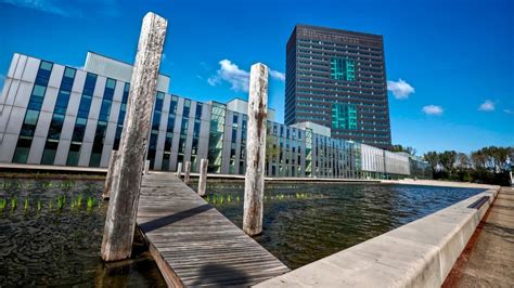 Leer Alles Over Het Ipm Model Tenderteam