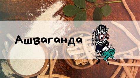 Ашваганда - Полезни свойства, прием | Всички теми