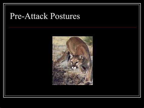 Self Defense Powerpoint Presentation