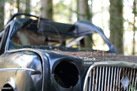 자연에서 오래된 손상된 부서진 버려진 자동차의 근접 촬영 0명에 대한 스톡 사진 및 기타 이미지 0명 교통수단 깨짐 Istock