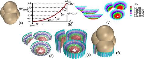 Grain Construction A Example Object 1 B Plotting Cluster Range