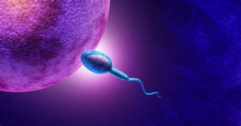 연이은 임신 실패 ‘이것 알레르기 때문일 수도