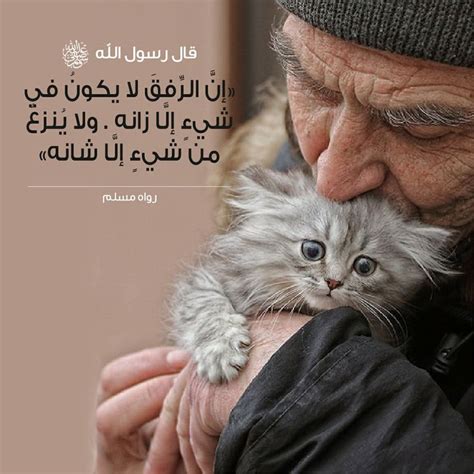 عن عائشة زوج النبيّ ﷺ عن النبي ﷺ قال إنَّ الرِّفقَ لا يكونُ في شيءٍ