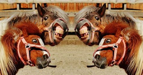 Publish To Azure Artifacts Nuget Feed With Azure Devops