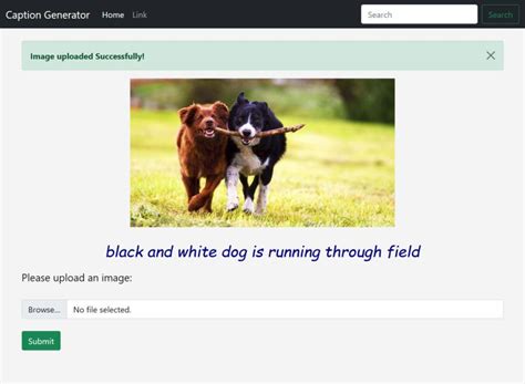 Deeplearning Computervision Docker Nlp Imagecaptioning Amirhossein Mirshahi