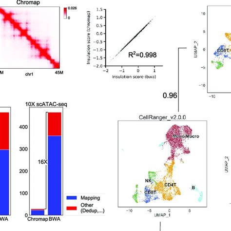 Chromap On The Large Data Set A Comparison Of Hi C Contact Matrices At