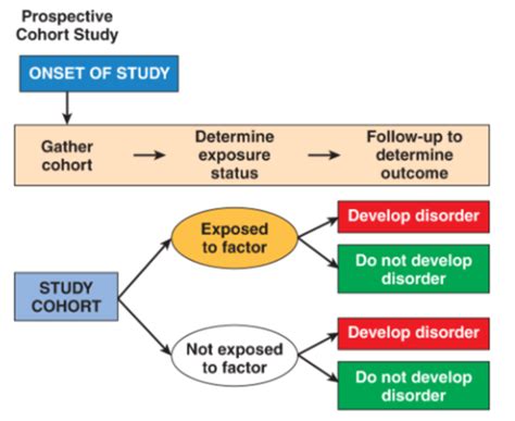 Ebp Quiz 3 Flashcards Quizlet