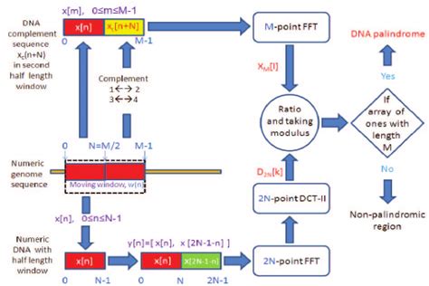Block Diagram For Dna Palindrome Detection Download Scientific Diagram